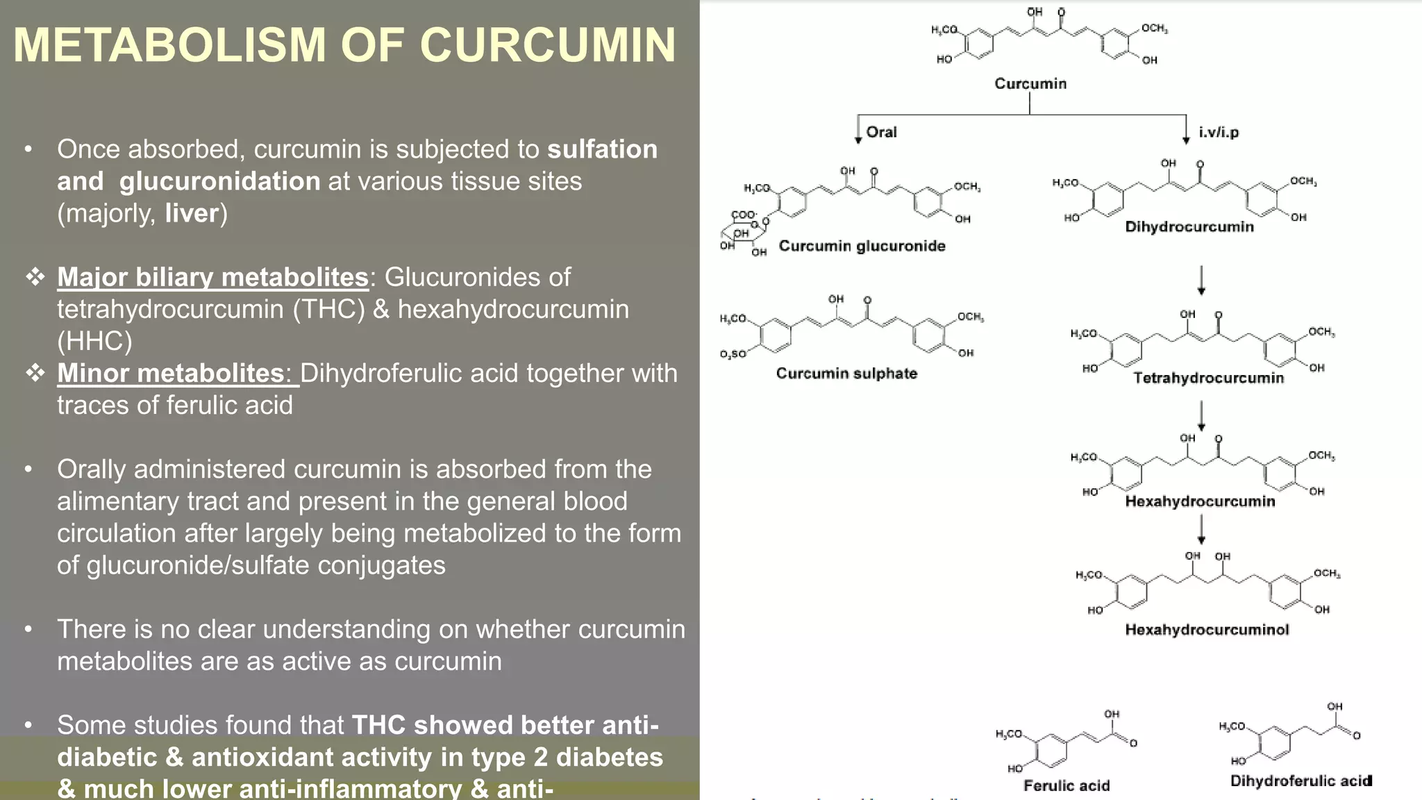 Curcumin | PPTX