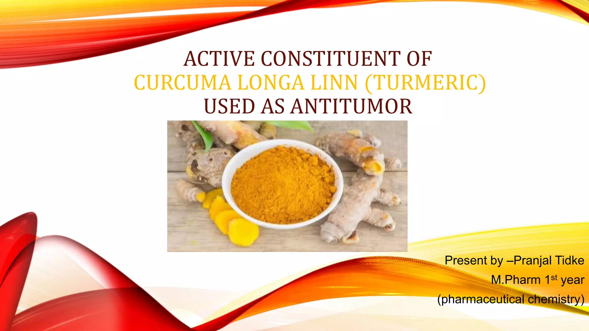 Curcumina longa active constituent | PPTX