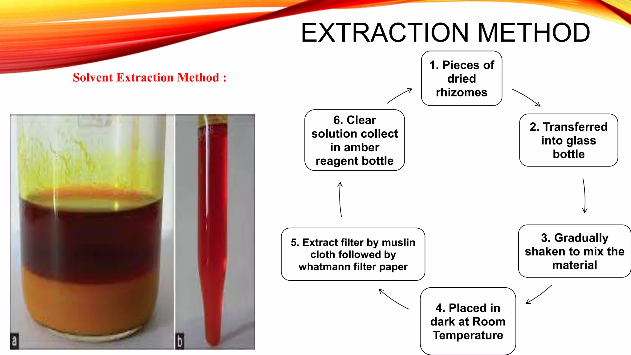 Curcumina longa active constituent | PPTX