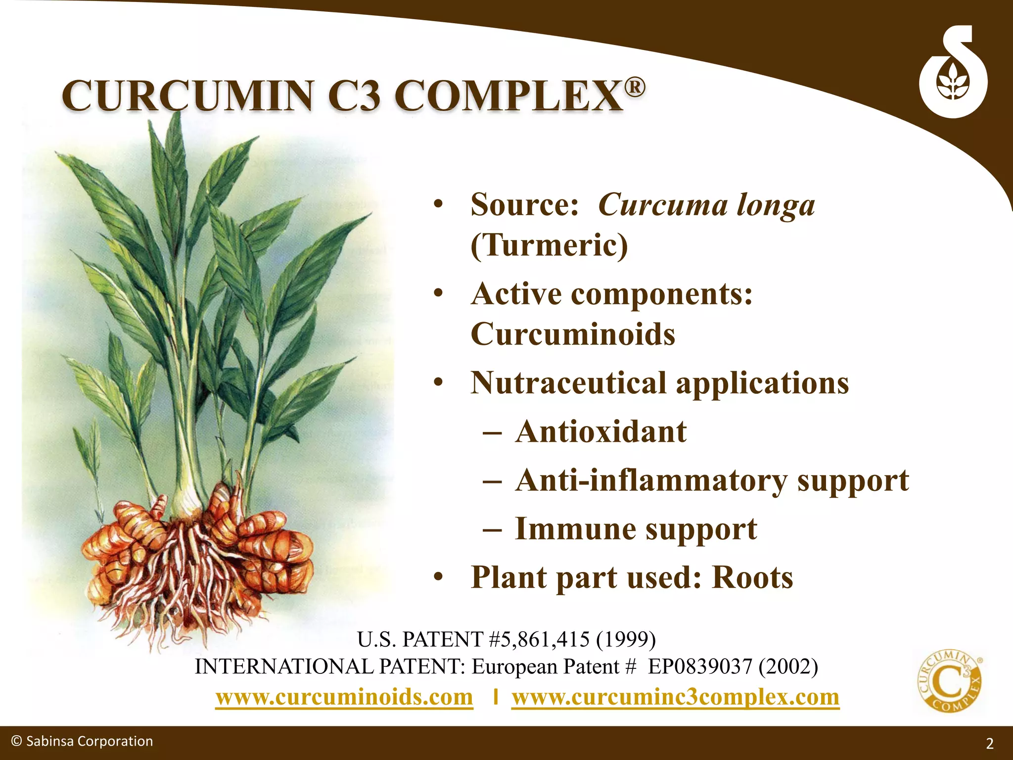 Curcumin c3 complex 09370322999 | PPT