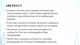 Curcumin Longa-L.pptx | Free Download