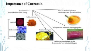 Curcumin Longa-L.pptx