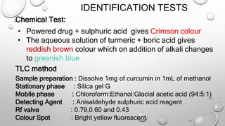 CURCUMIN (Curcuma longa) | PPTX
