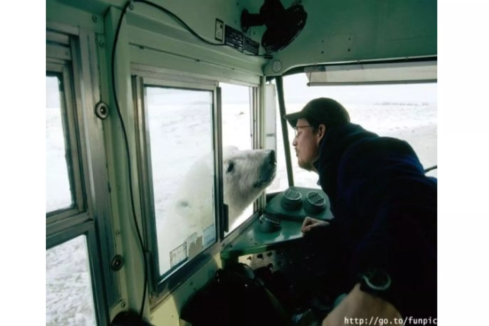 Cure animal photos | PPT