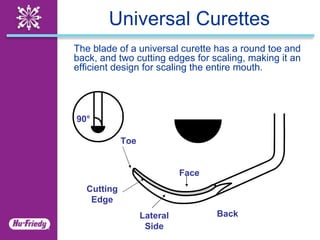 Curettes Clinical Application Guide | PPT
