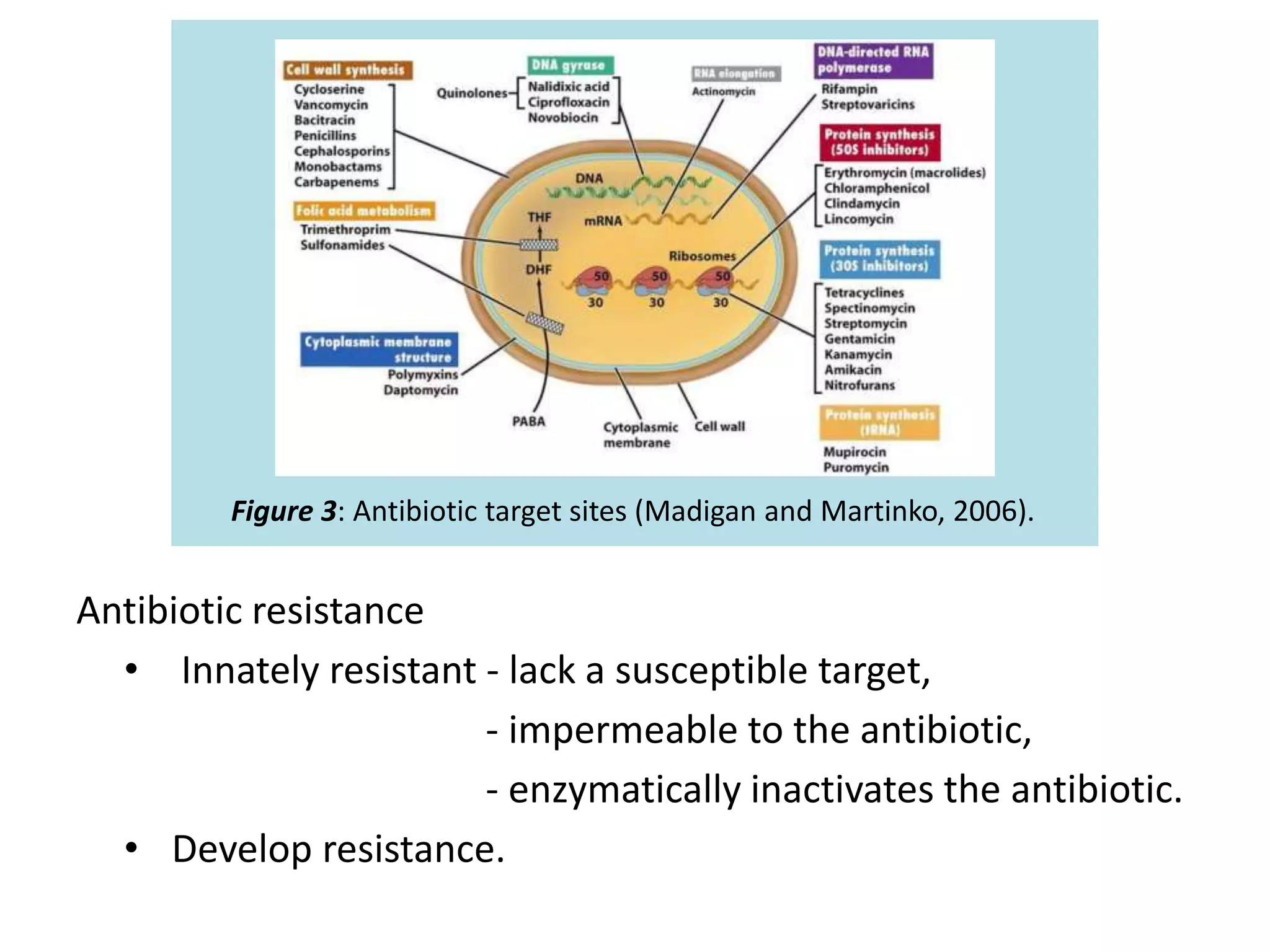 Curing human diseases using microorganisms | PPTX