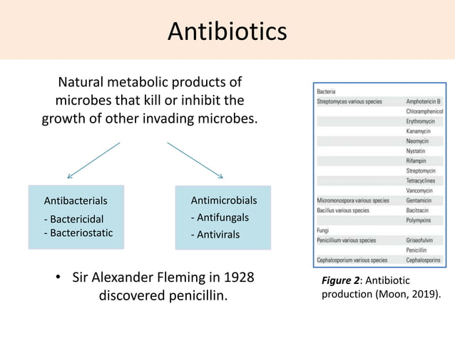 Curing human diseases using microorganisms | PPTX