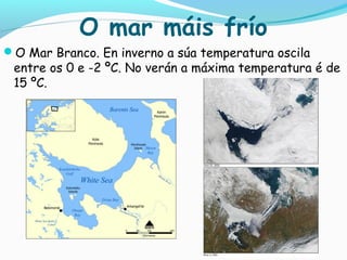 Curiosidades do mar | PPS