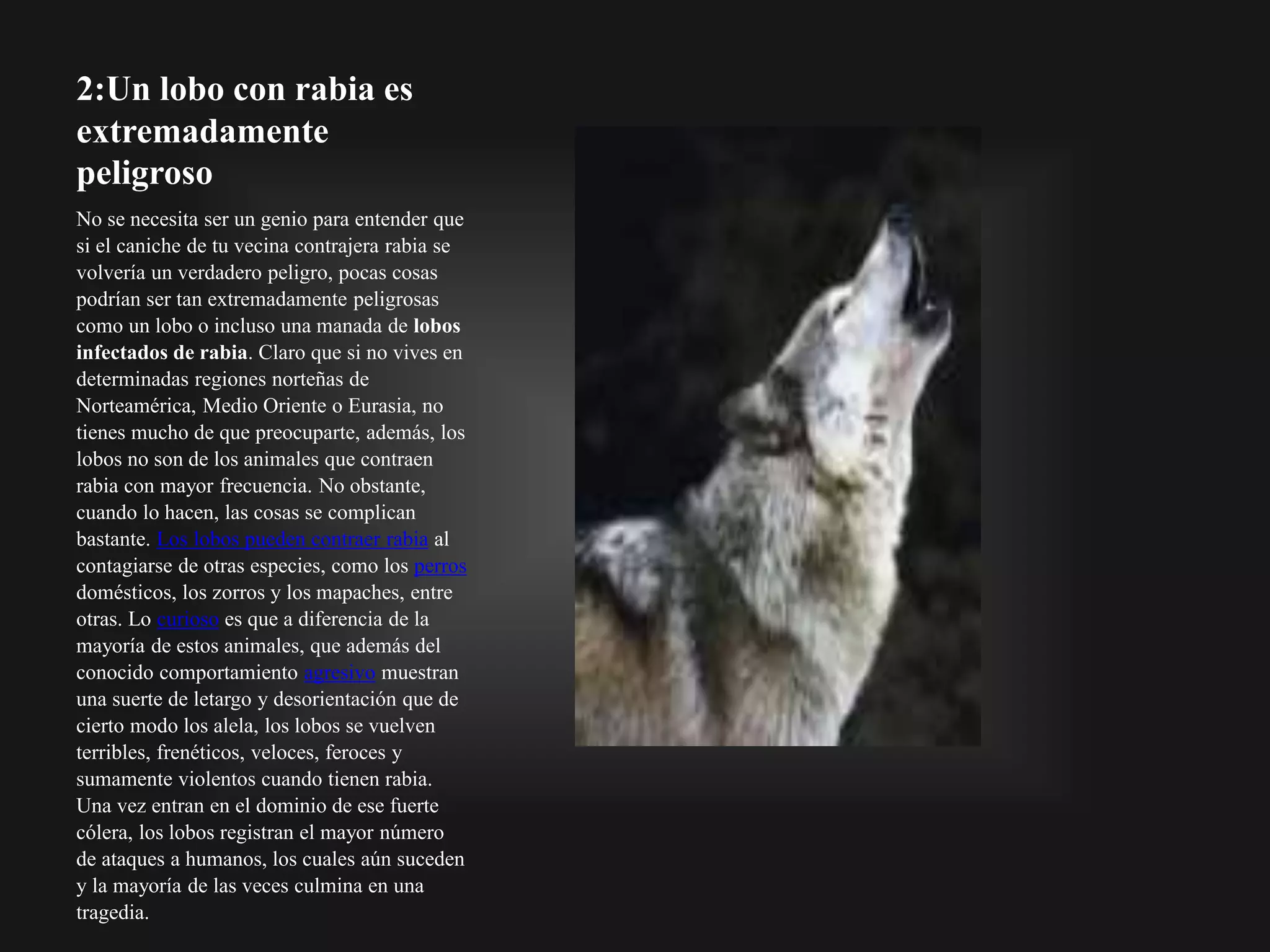 Curiosidades sobre los lobos | PPTX | Dogs | Pets
