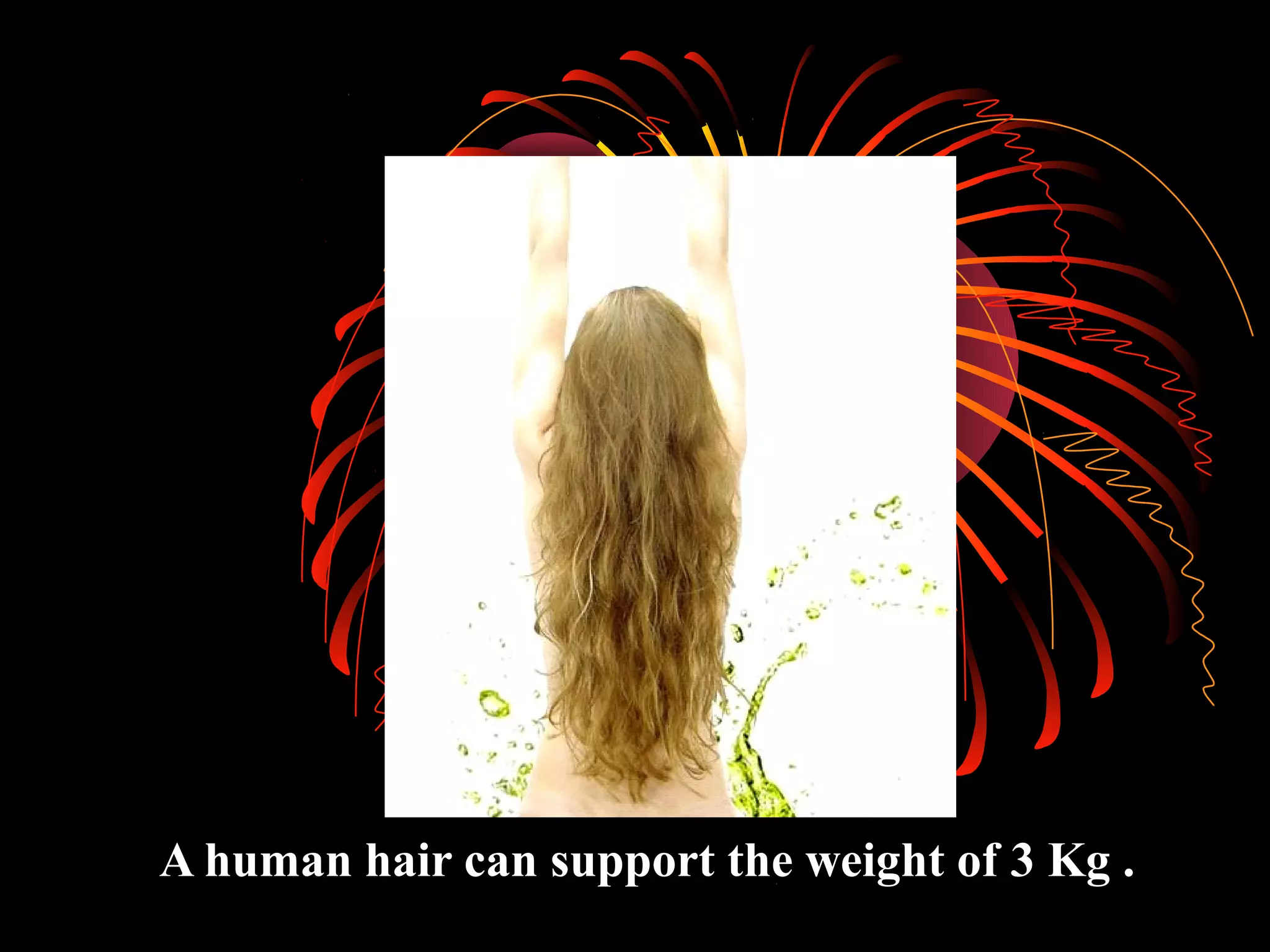 Curiosities of the human body | PPS