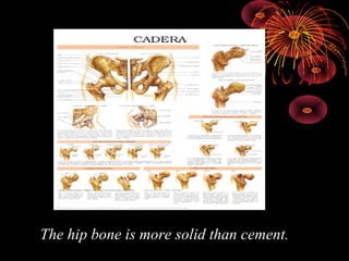 Curiosities of the human body | PPS