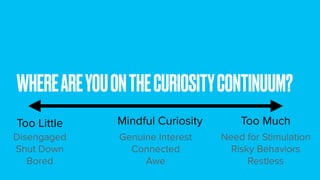 Curiosity | PDF