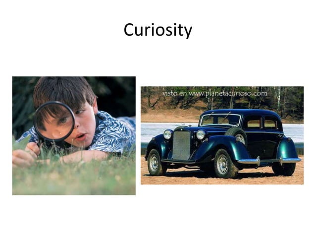 Curiosity, diversity and creativity | PPT