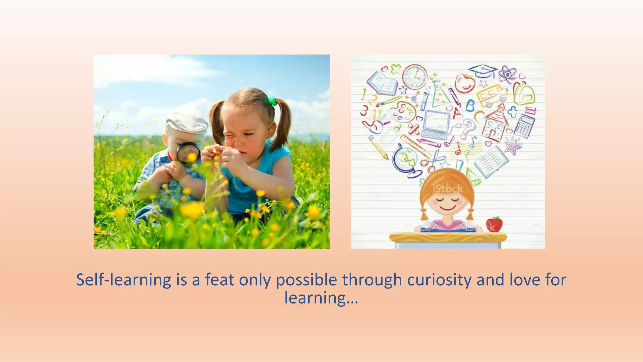 Curiosity on Curiosity | PPTX