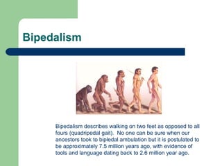 The curious origins of shoes | PPT