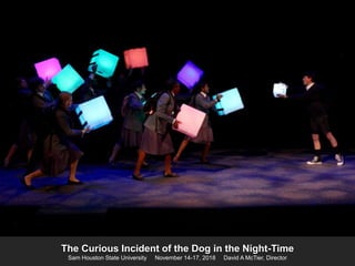 The Curious Incident of the Dog in the Night-Time | PPT
