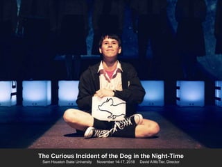 The Curious Incident of the Dog in the Night-Time | PPT