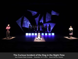 The Curious Incident of the Dog in the Night-Time | PPT