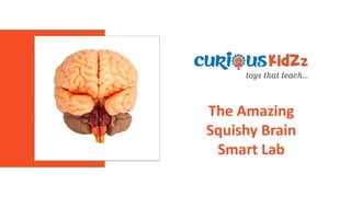 Curiouskidzz – Stem Toys for kids.pdf