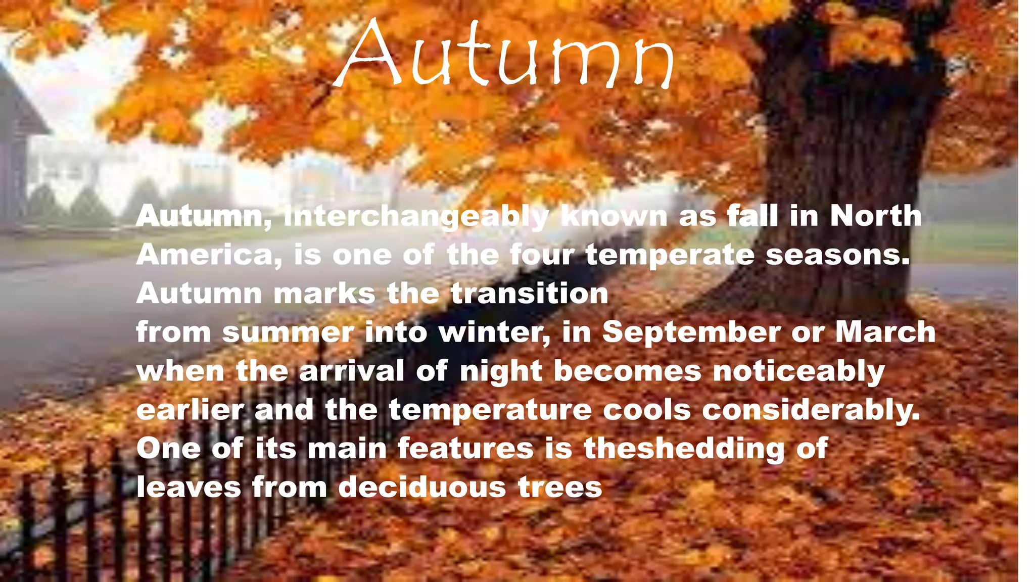 Curiozitati anotimpuri | PPT