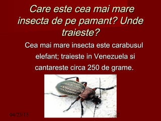 Curiozitati din lumea vie | PPT