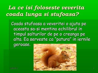 Curiozitati din lumea vie | PPT