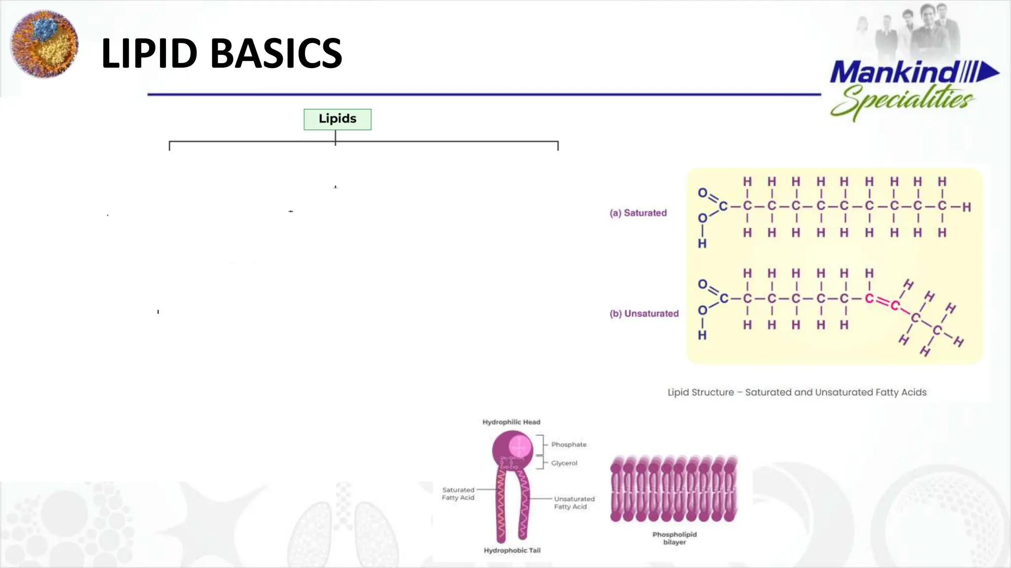 Curis Lipid Complications & Management Module 1 (1).pptx