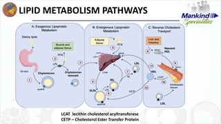 Curis Lipid Complications & Management Module 1 (1).pptx