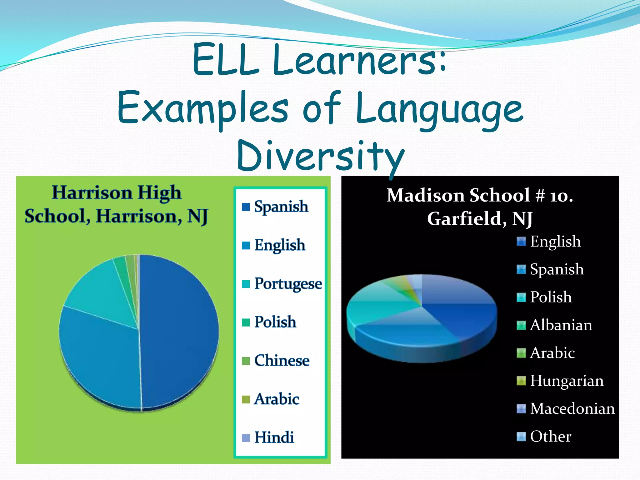Curr 509 diversity and ell | PPT