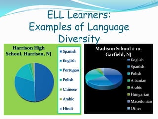Curr 509 diversity and ell | PPT