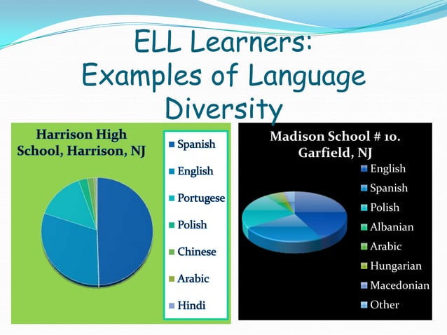 Curr 509 diversity and ell | PPT