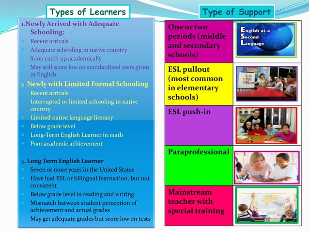 Curr 509 diversity and ell | PPT