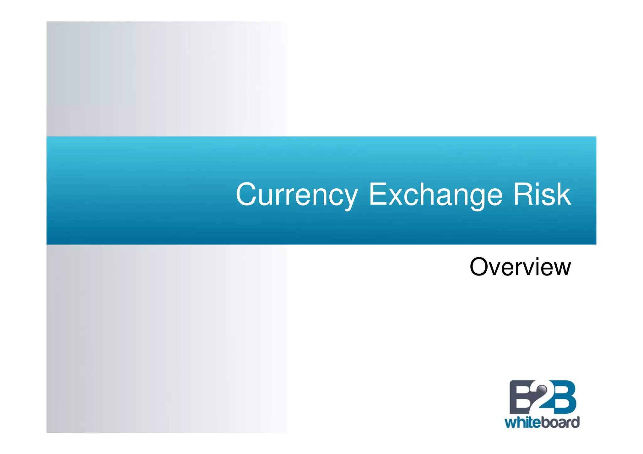 Currency Exchange Risk | PDF