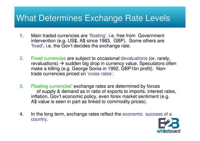 Currency Exchange Risk | PDF