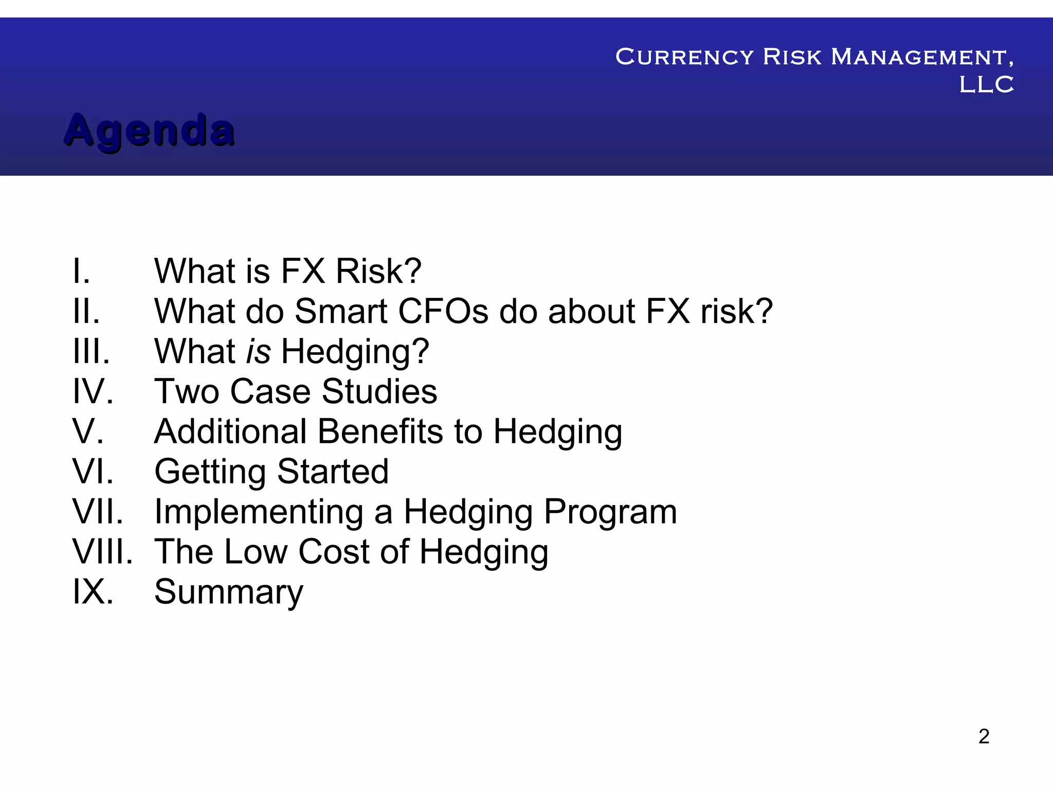 Currency Hedging Presentation | PPT