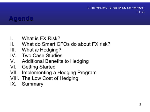 Currency Hedging Presentation | PPT