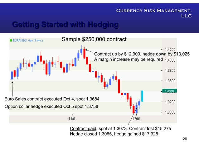 Currency Hedging Presentation | PPT