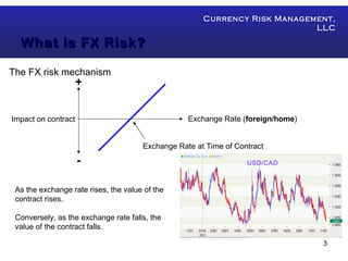Currency Hedging Presentation | PPT