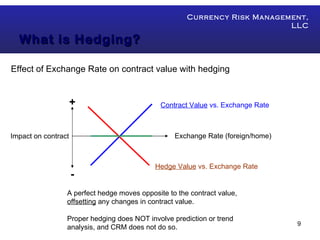 Currency Hedging Presentation | PPT