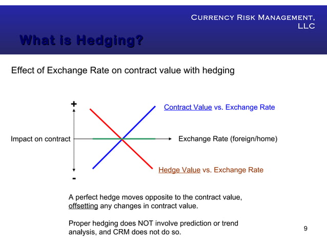 Currency Hedging Presentation | PPT