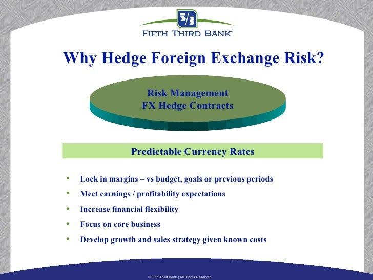 Currency Risk May 28 2010