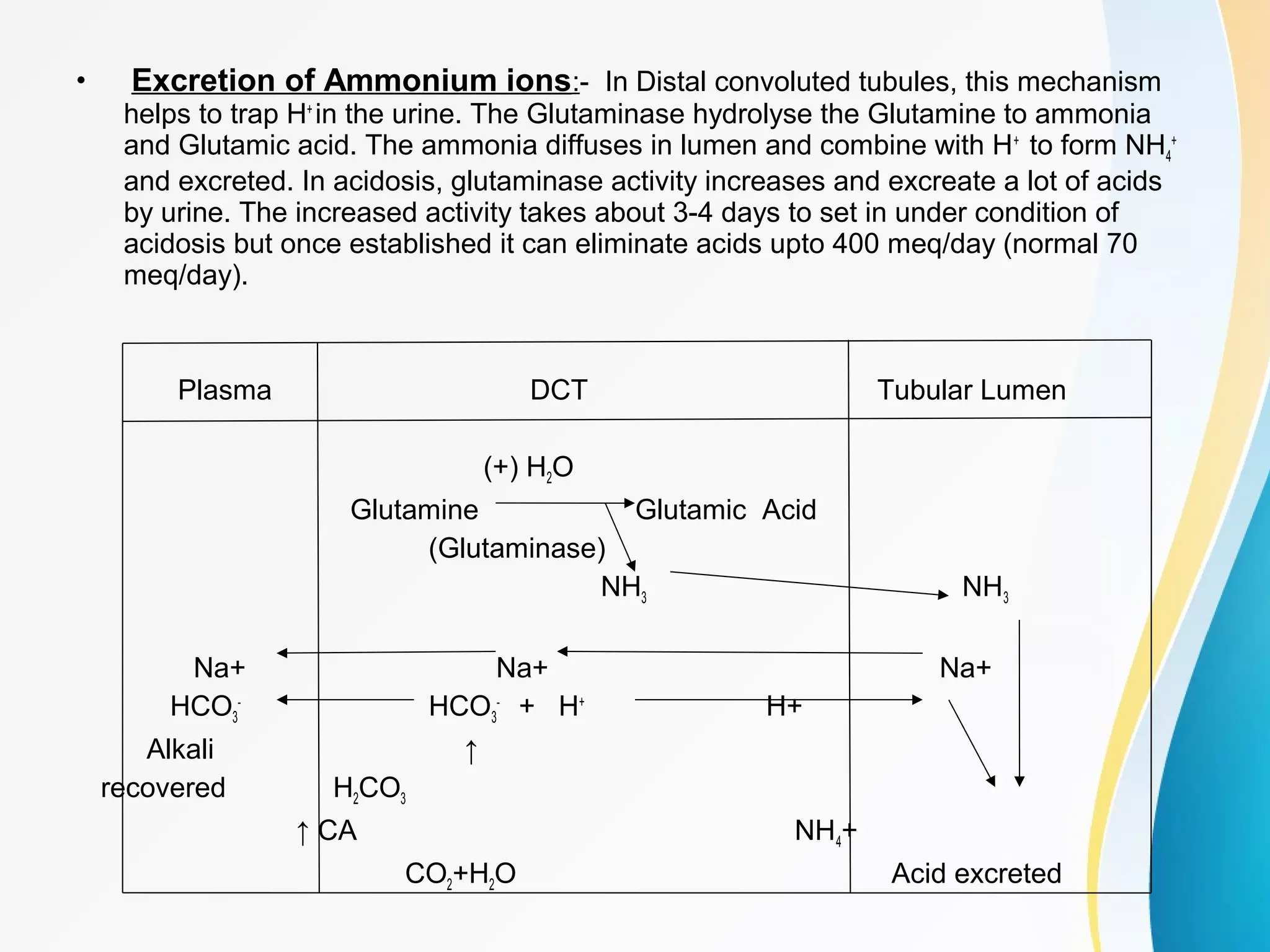 The biochemical aspect of pH imbalance | PPT