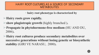 Current approaches toward production of secondary plant metabolites | PPTX