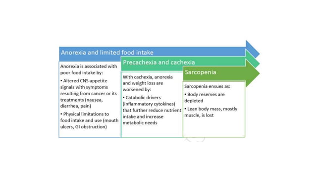 Current approach to perioperative nutrition in the ERAS.pptx