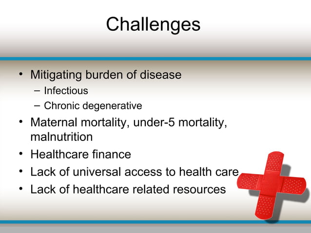 Current Healthcare Challenges In India | PPT