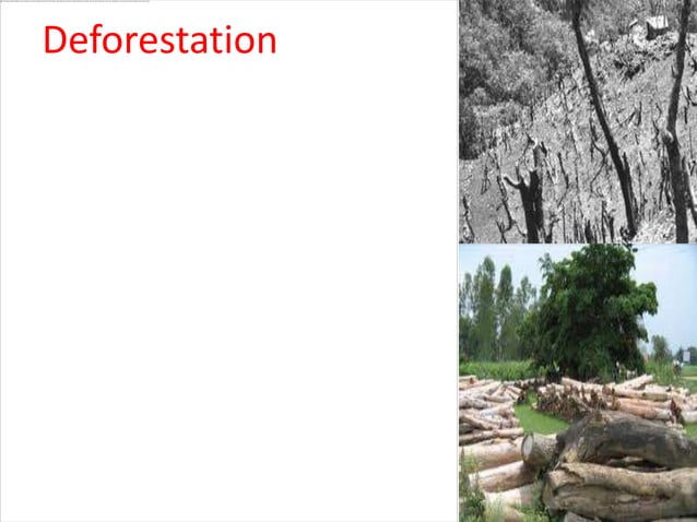 Current environmental issues india | PPTX