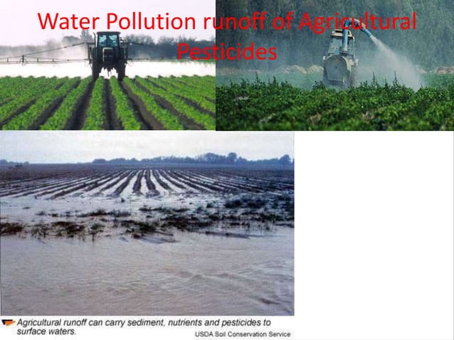 Current environmental issues india | PPTX