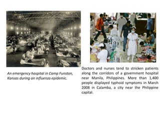 Current epidemics | PPTX | Cold and Flu | Diseases and Conditions