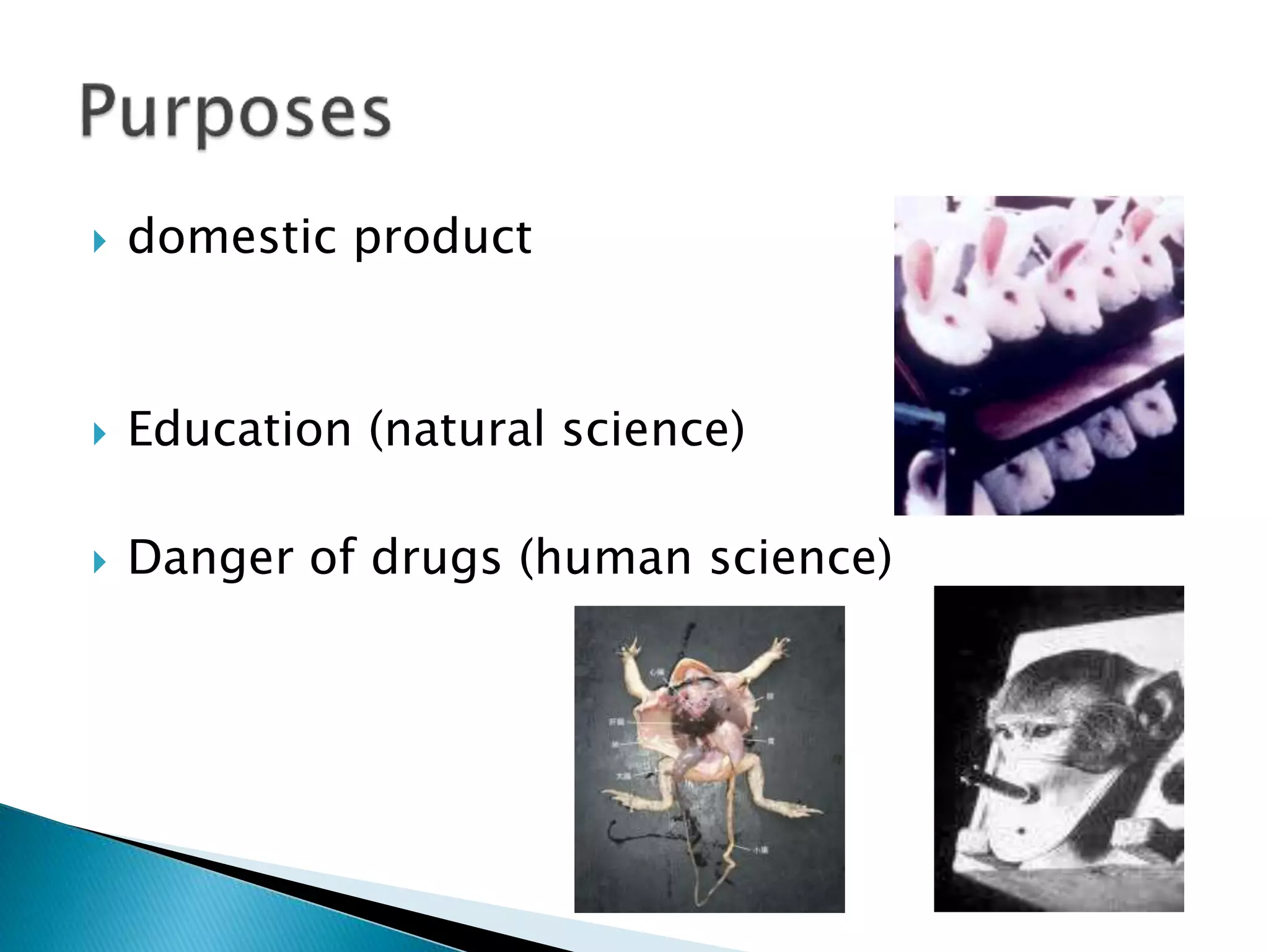 Current issue animal testing | PPTX