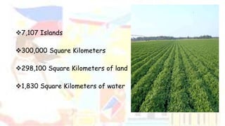 CURRENT ISSUE OF THE PHLIPPINE LAND USE.pptx